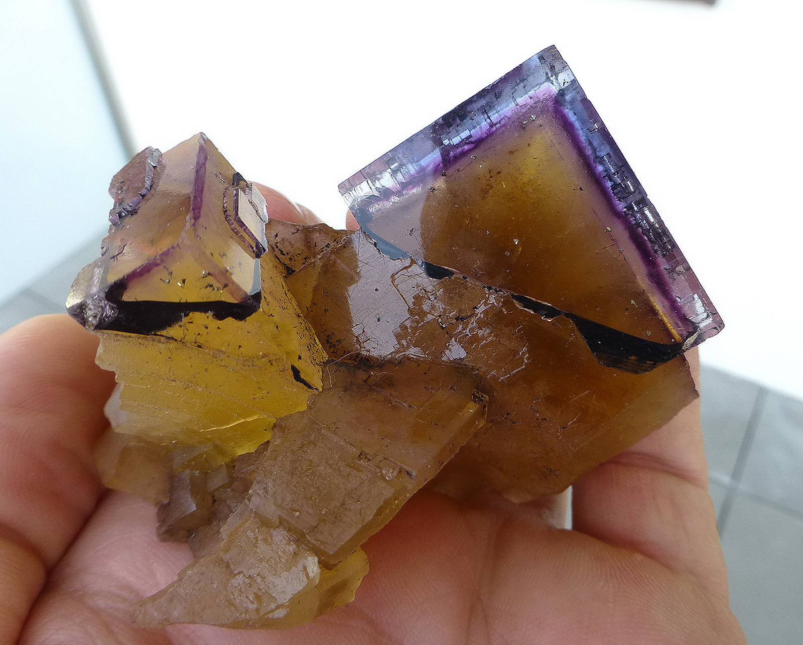 International Minerals #7 - Anton Watzl Minerals