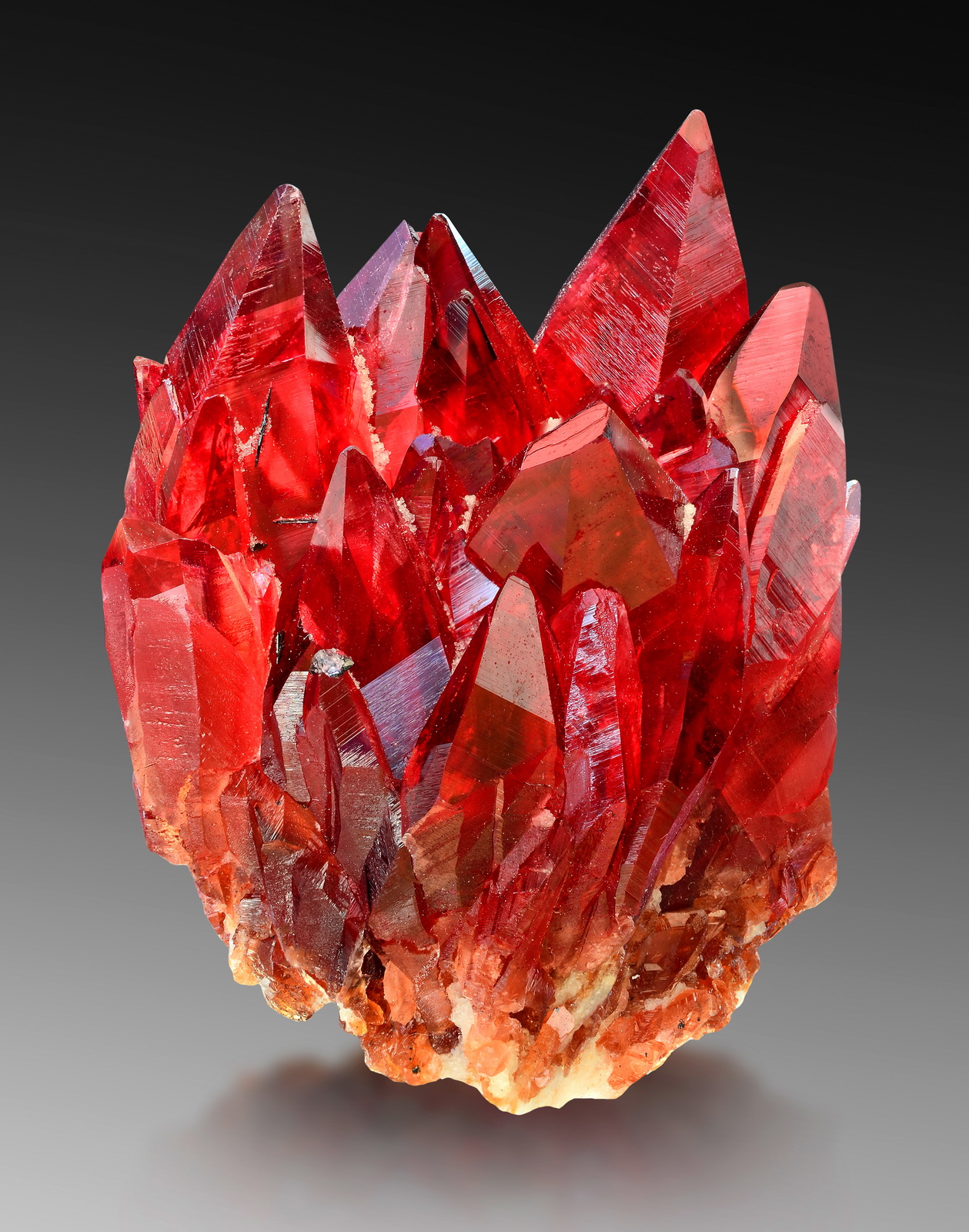 Treasure Trove - Anton Watzl Minerals