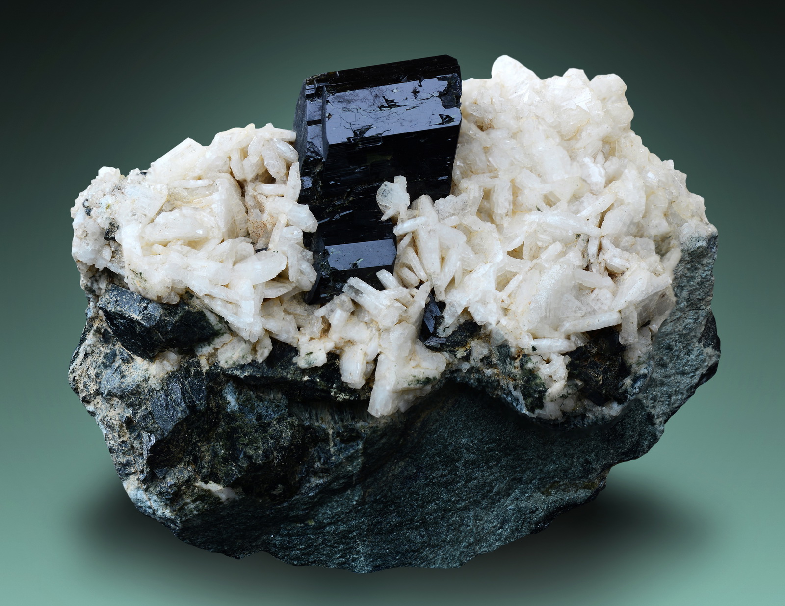 Alpine Minerals #8 - Anton Watzl Minerals