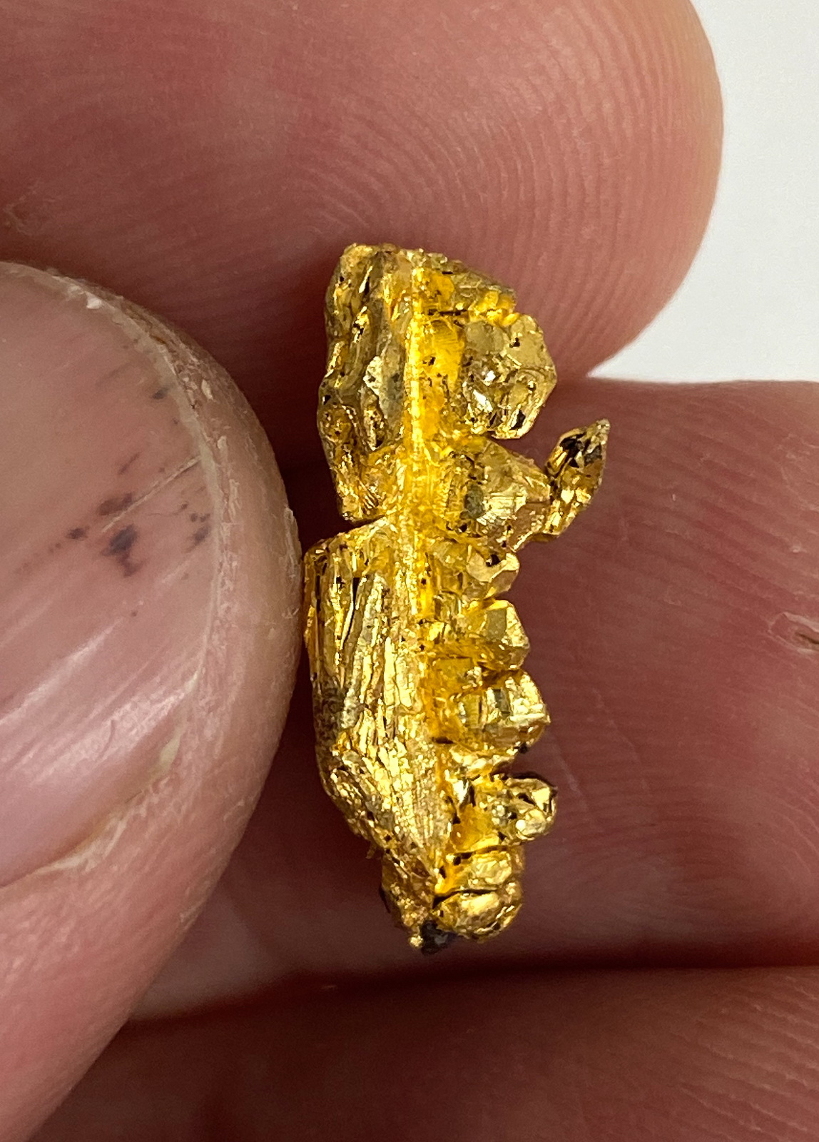**NEW FIND** *Sahara Gold!* - Anton Watzl Minerals