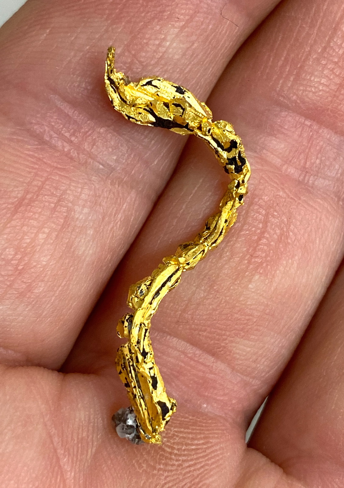 **NEW FIND** *Sahara Gold!* - Anton Watzl Minerals